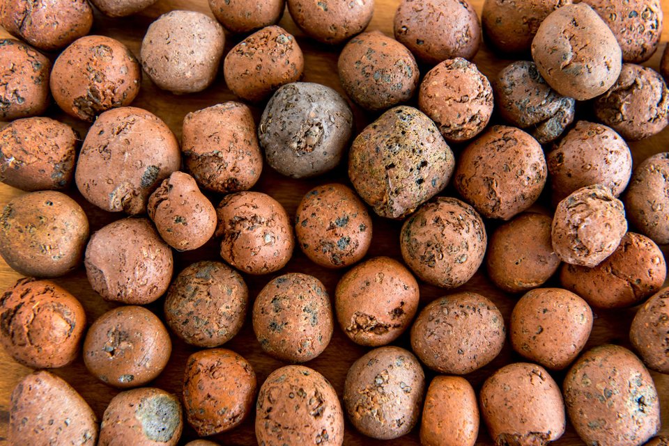 Argila expandida: ideal pro seu jardim - Blog da Lu - Magazine Luiza