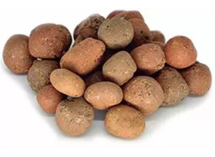 Argila expandida: ideal pro seu jardim - Blog da Lu - Magazine Luiza